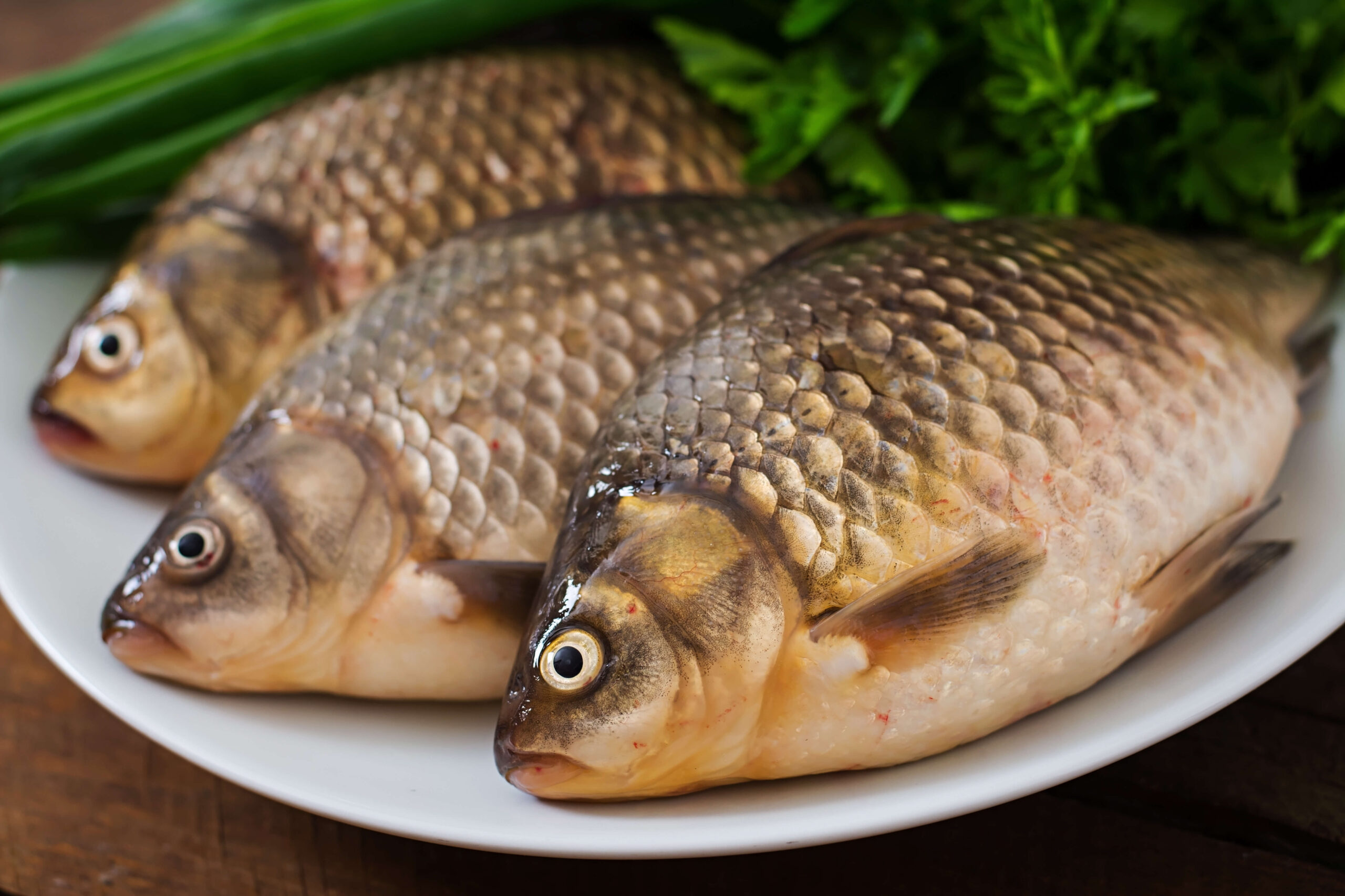 Christmas Carp: Recipes, Preparation, and Frying - Christmasify.com